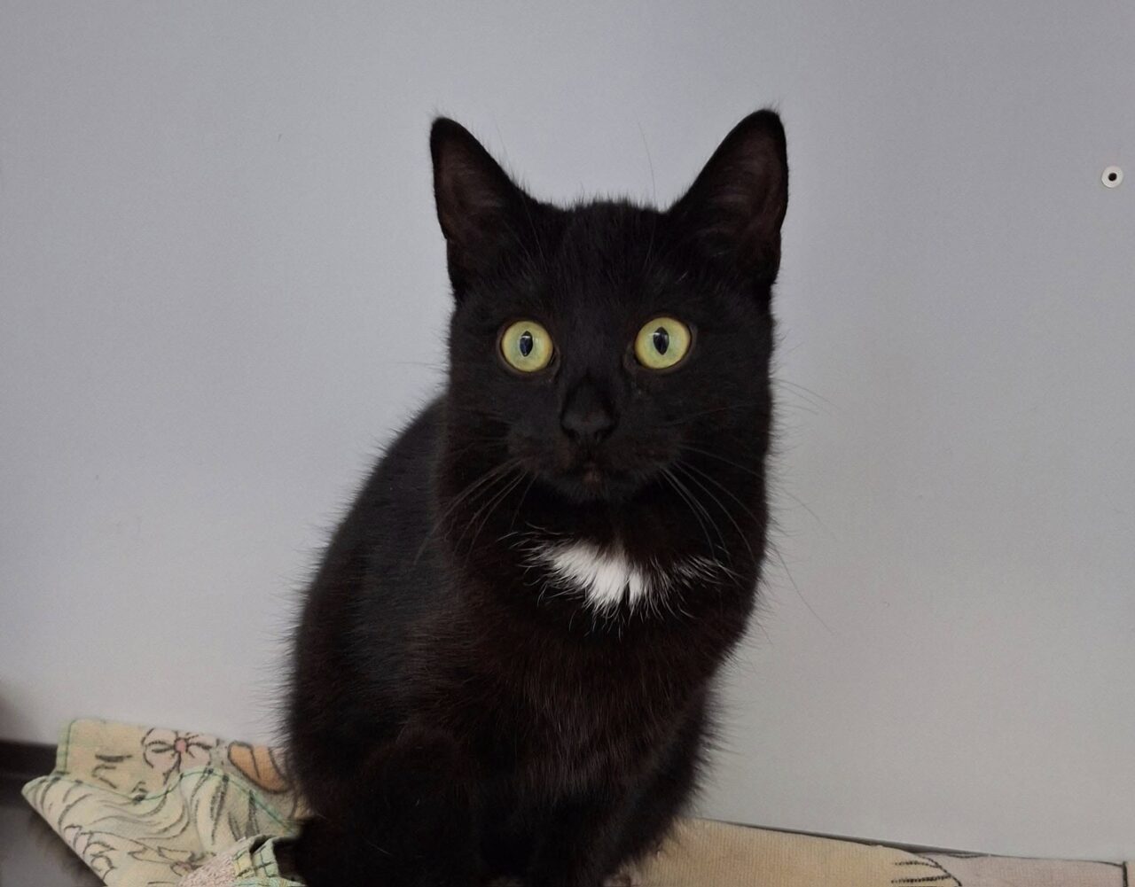 Lore | Tierschutzverein Muldental